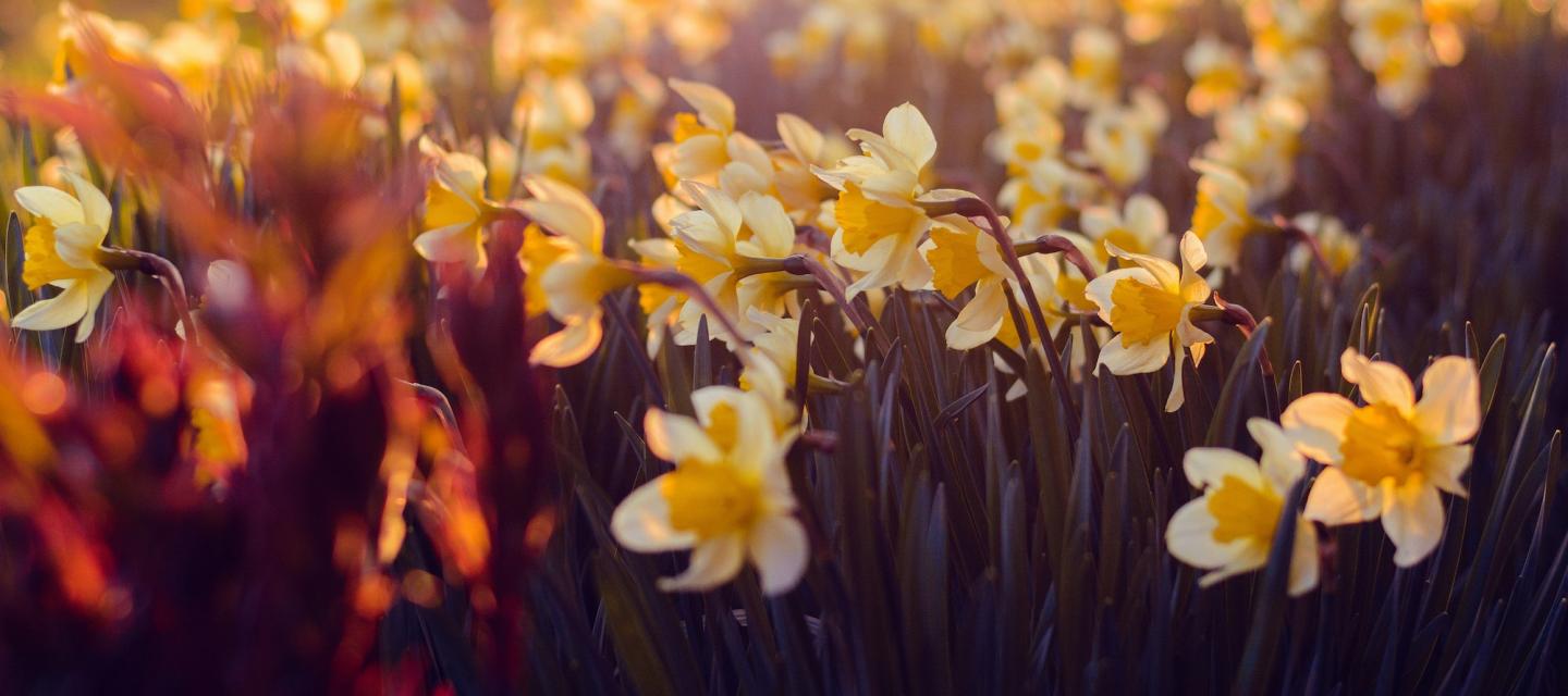 March Reopening - Year 9 (04/03/2021) | Noadswood school